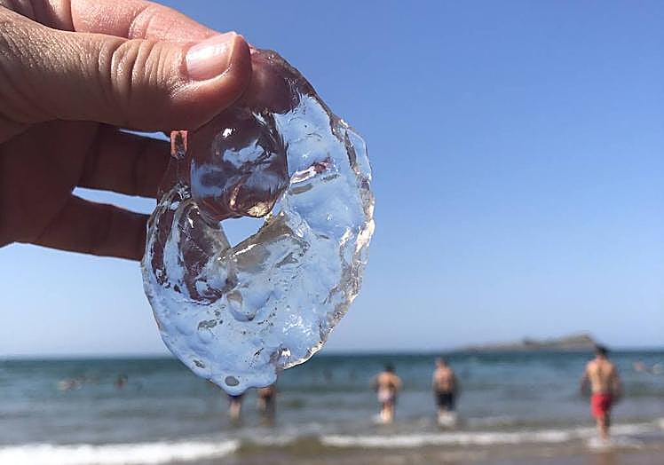Inquietud en la playa de Laida por la aparición de una especie similar a las medusas | El Correo